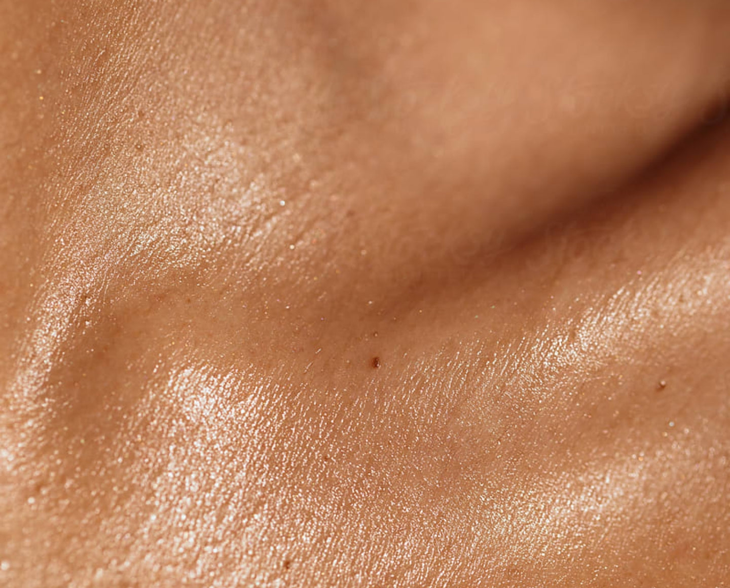 The Complete Tan Bundle - Milano Drop